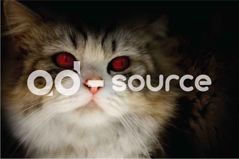 Cat Face - adsource.id